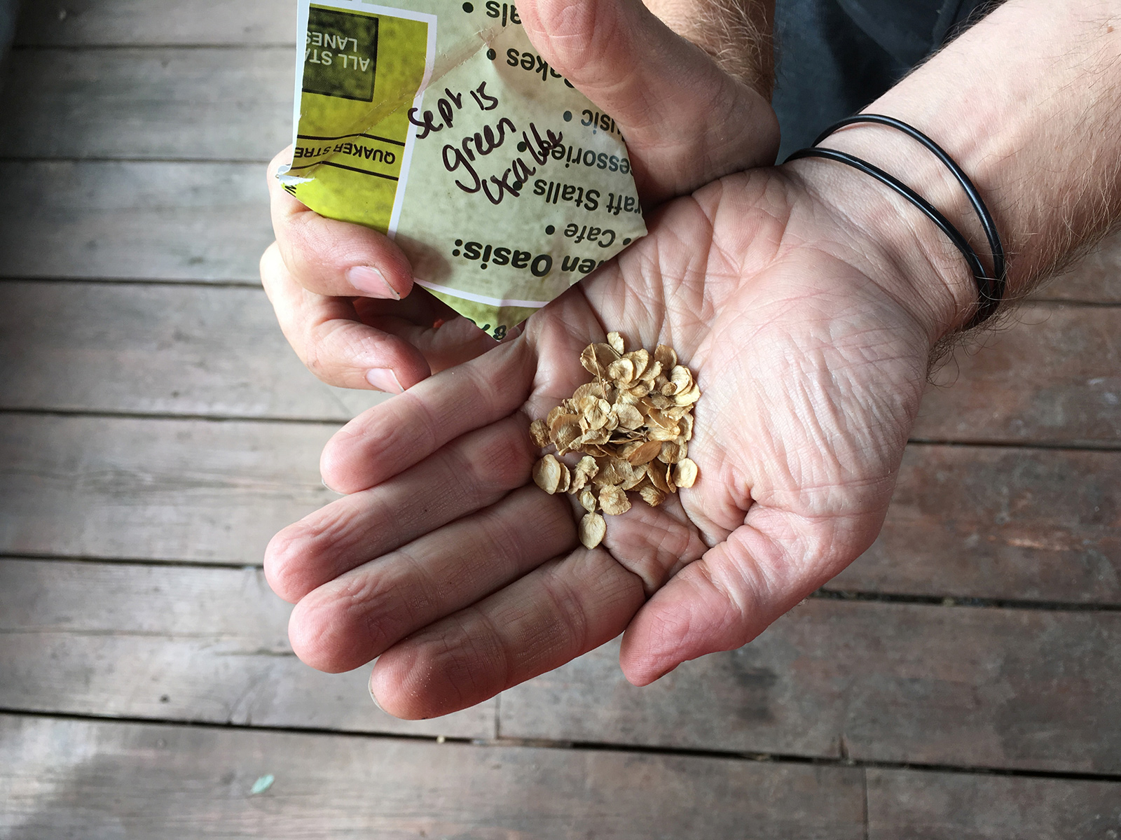 A Guide to Saving Seeds - Connected Seeds LibraryConnected Seeds Library